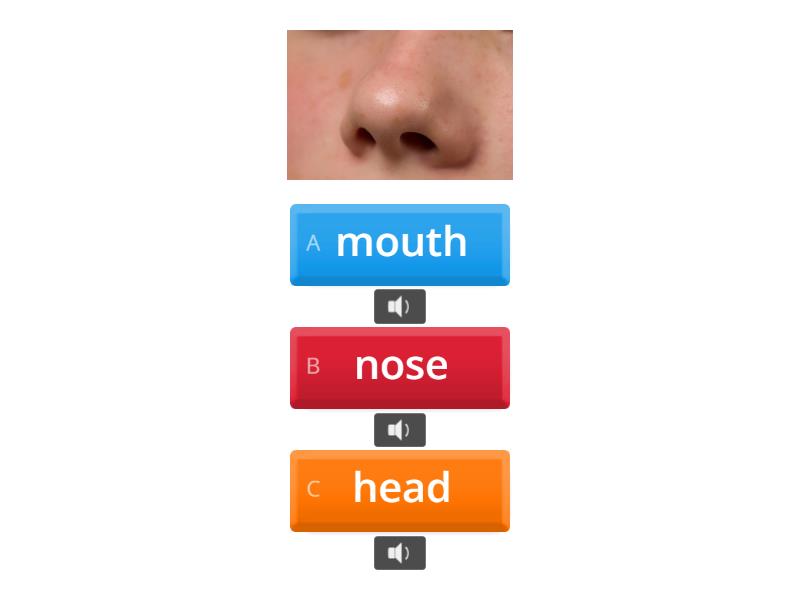 face parts - Quiz