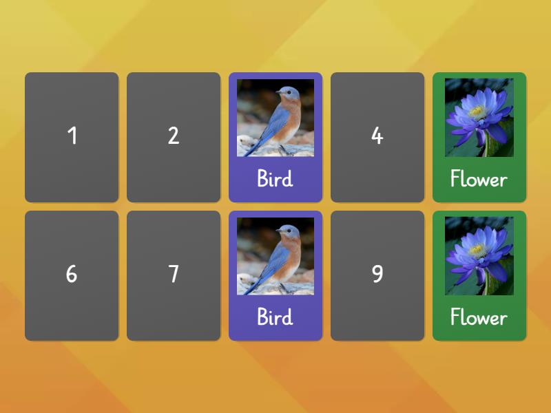 Spring Matching Game - Matching pairs