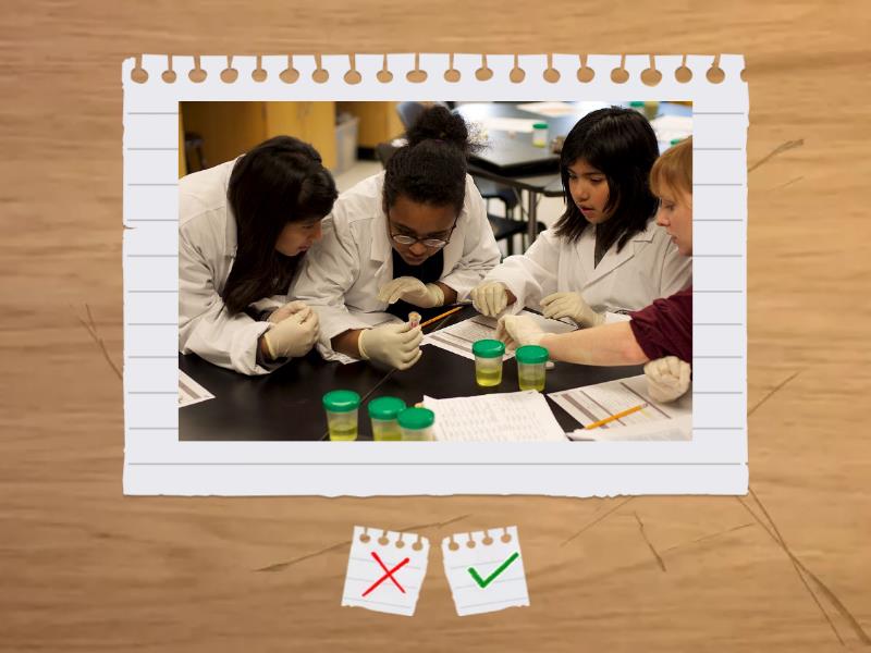 Extracurricular - Flash cards
