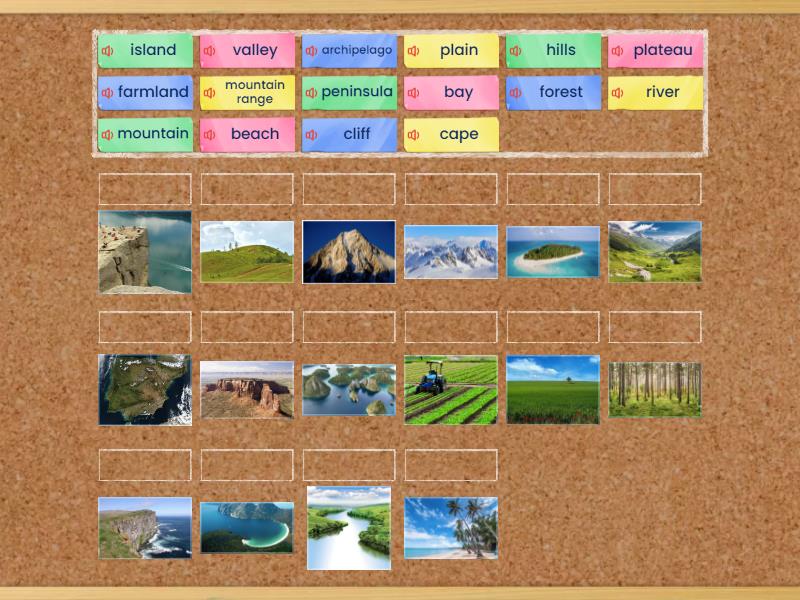 Landscape vocabulary - Match up