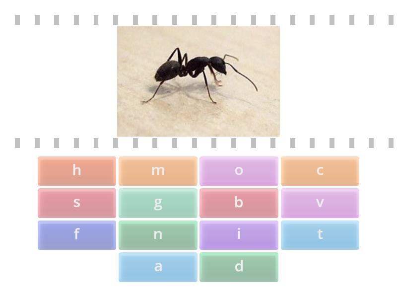 Partial Alphabet - Find the match