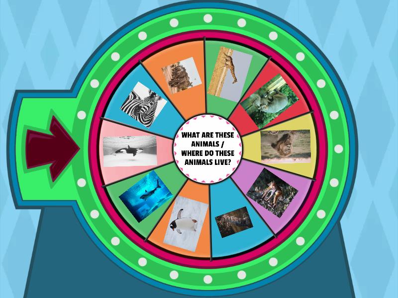 Wild animals and their habitats - Random wheel