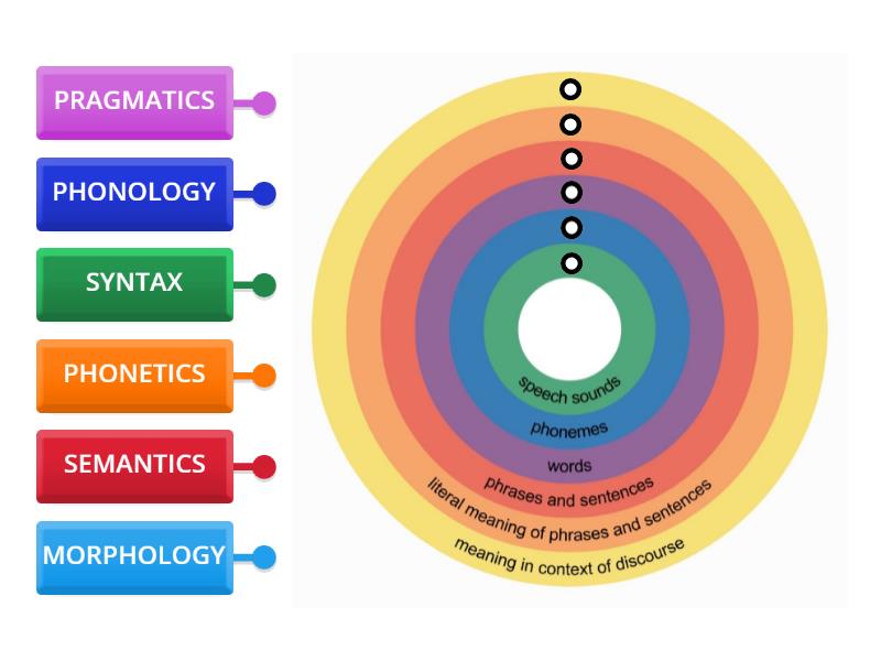Linguistic levels - Labelled diagram