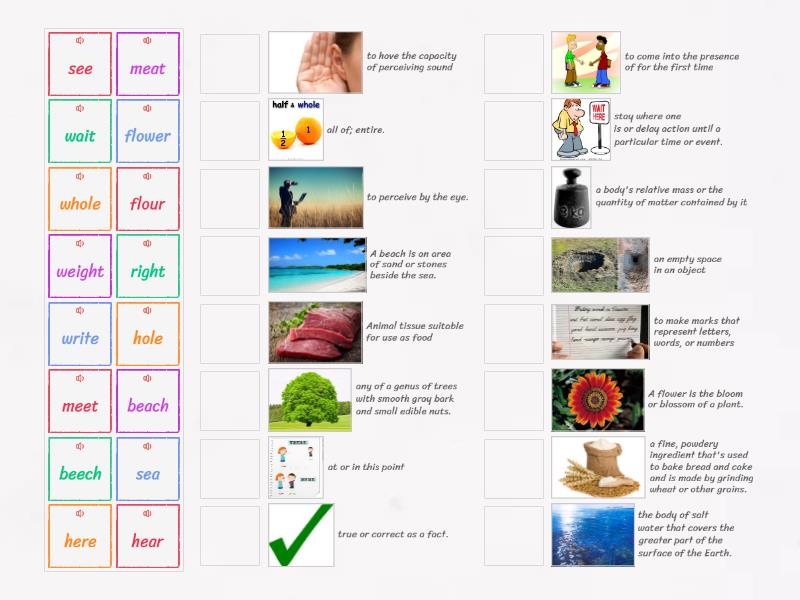 Homophones - Match up