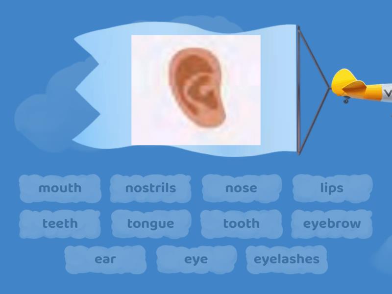 EFE A2 CB - L.10 - The human body (2 - the face) - Find the match