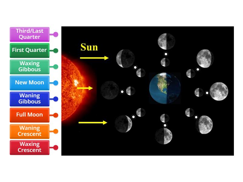 Phases of the Moon Challenge - Labelled diagram
