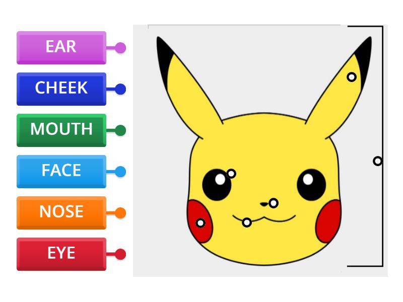 FACE pikachu - Labelled diagram
