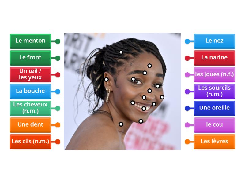 Anatomie- Le visage (the face) - Labelled diagram