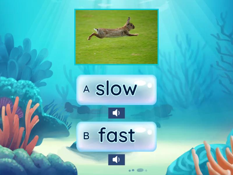 Let's explore 2 Unit 2 adjectives 1 - slow- fast - Quiz