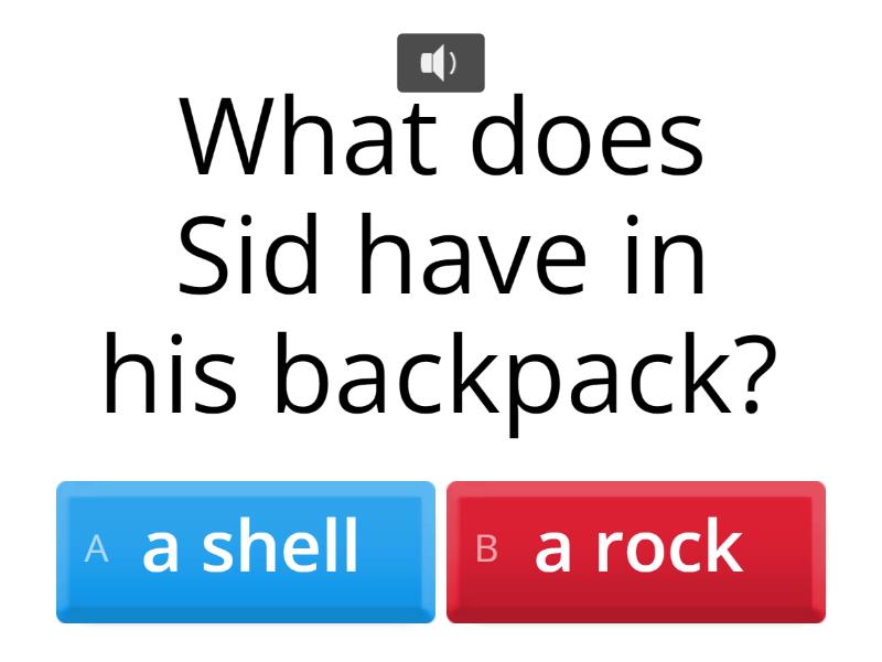 The Shell - Quiz
