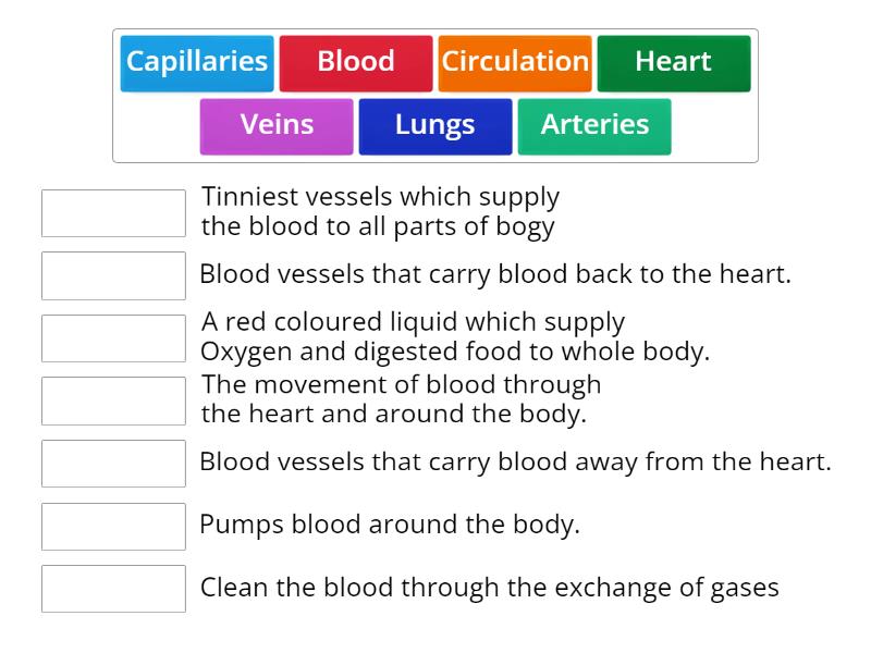 Circulatory System, its parts and Functions - Associação