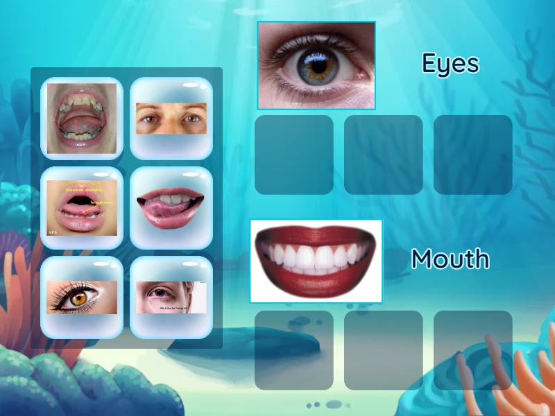 Eyes and Mouth - Group sort