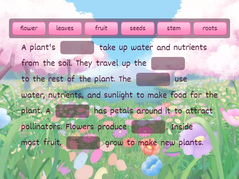 PLANT PARTS AND THEIR FUNCTIONS - Complete the sentence