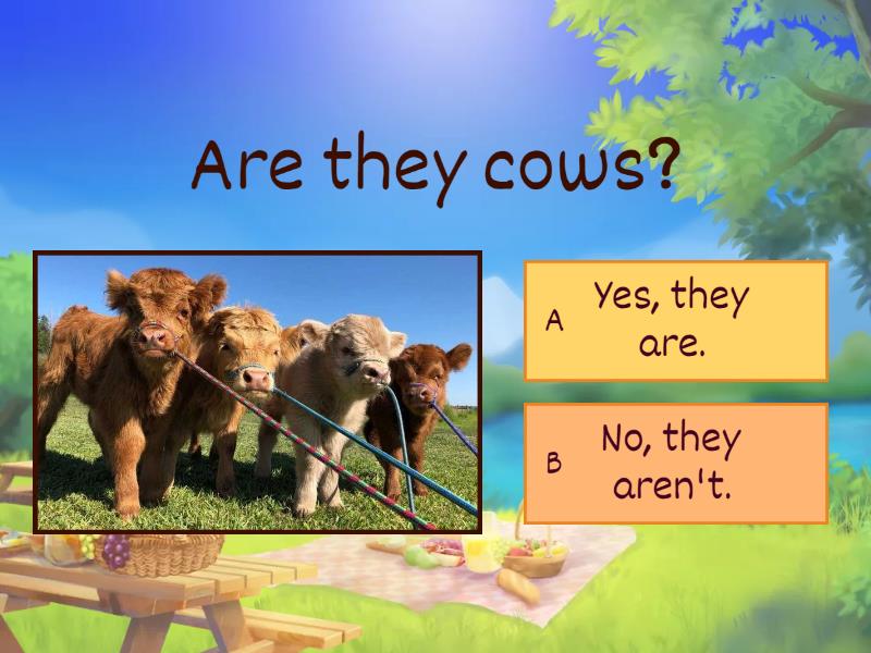 Are they cows? - Quiz