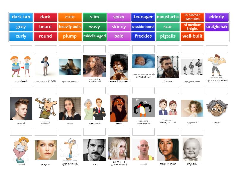 Spotlight 7 Module 3b Who's who? - Match up