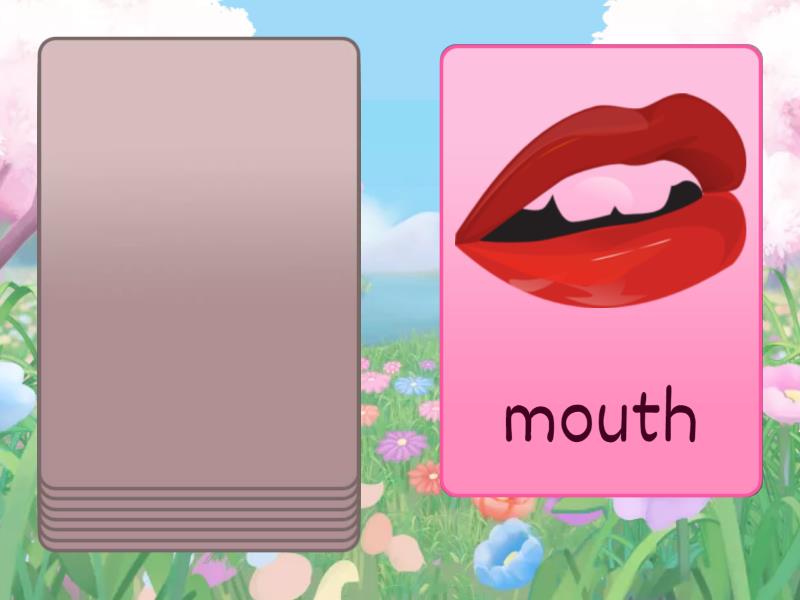 Smart Junior 1 unit 6B - Speaking cards