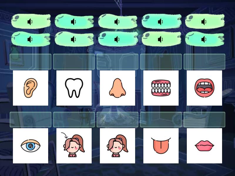 Body Parts - Sound - Face - Match up