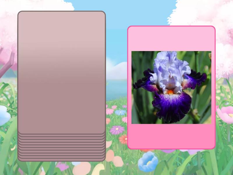 Flowers_ - Random cards