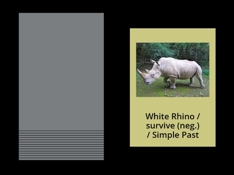 L2 U7 MAKE SENTENCES - Random cards