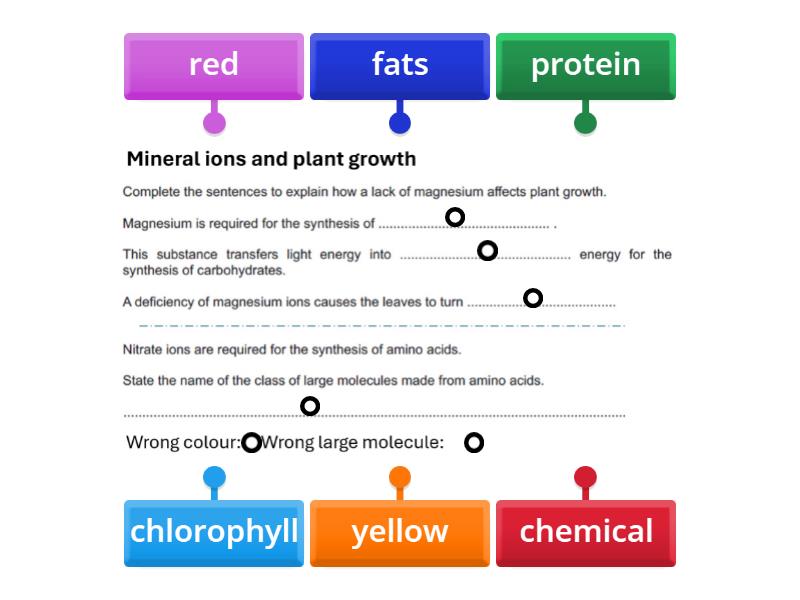 Mineral ions and plant growth - Labelled diagram
