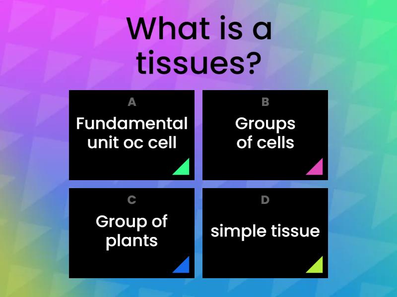 chapter 6 Tissues class (A) Harmandeep (Science) - Quiz