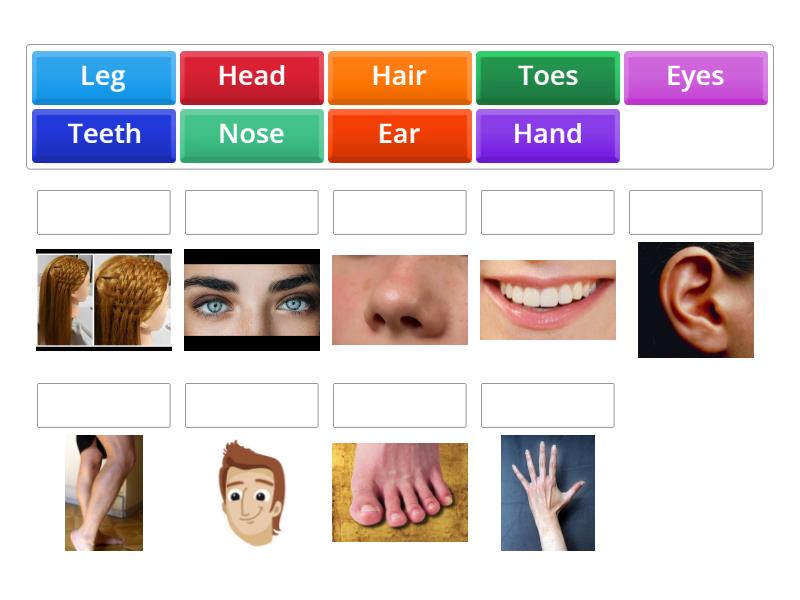 Body Parts_anagram - Match up