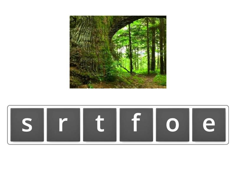 Kid's box 3 Unit 6 - Anagrama