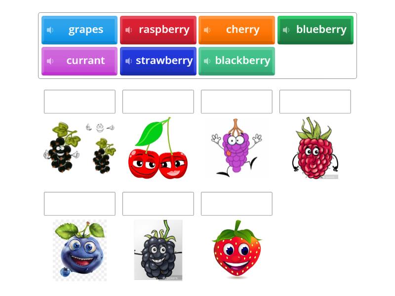 Kindergarten Berries - 211024 - Match up