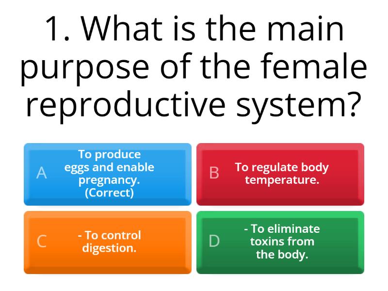 Female reproductive system - Quiz