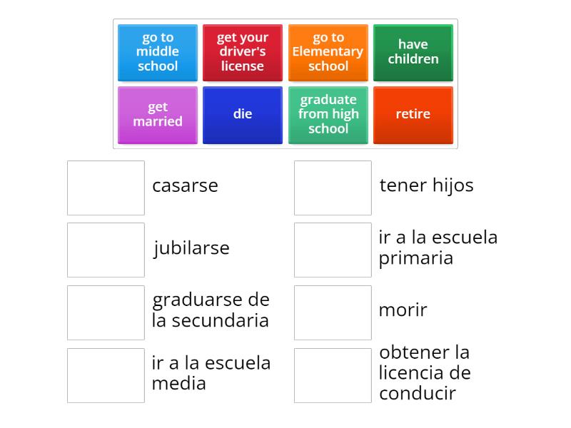 Stages of life - Match up