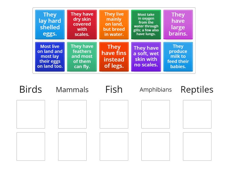 Unit 8 lesson 1-2 Animals - Group sort