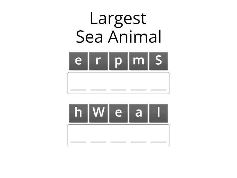 - Anagram