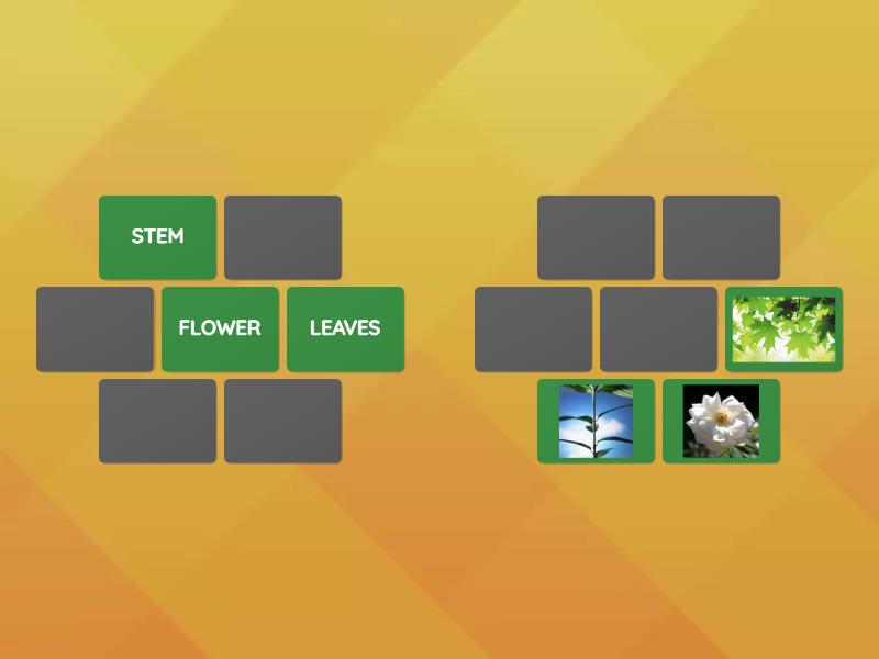 MEMORY - Matching pairs