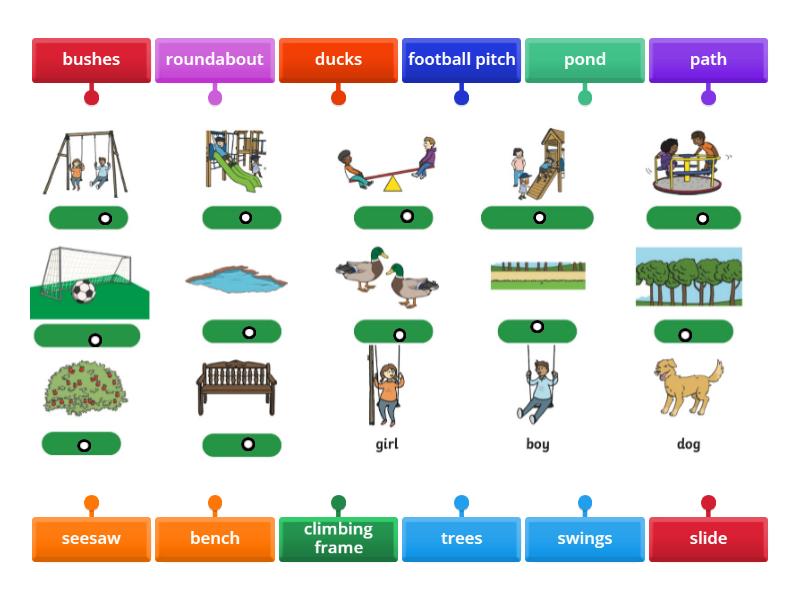 At the park - Labelled diagram