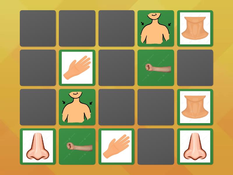 Reconoce tus partes del cuerpo - Matching pairs