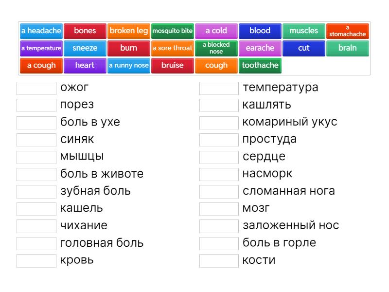 GG3 Unit 5 - Une las parejas
