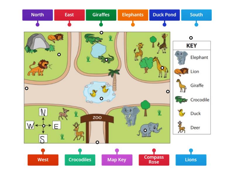 Zoo map 1st Grade - Labelled diagram
