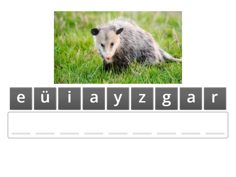 Sonidos gue-gui/ge/gi/je/ji/güi/ güe - Anagram