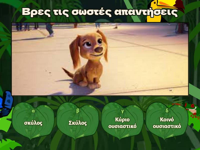 ΔΙΑΚΡΙΣΗ ΚΥΡΙΩΝ ΜΕ ΚΟΙΝΩΝ ΟΥΣΙΑΣΤΙΚΩΝ - Quiz