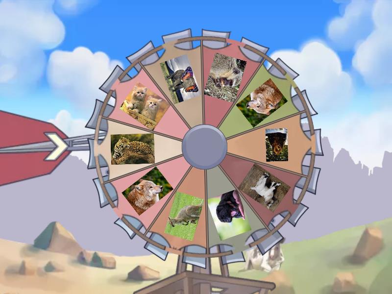 Animals - Spin the wheel