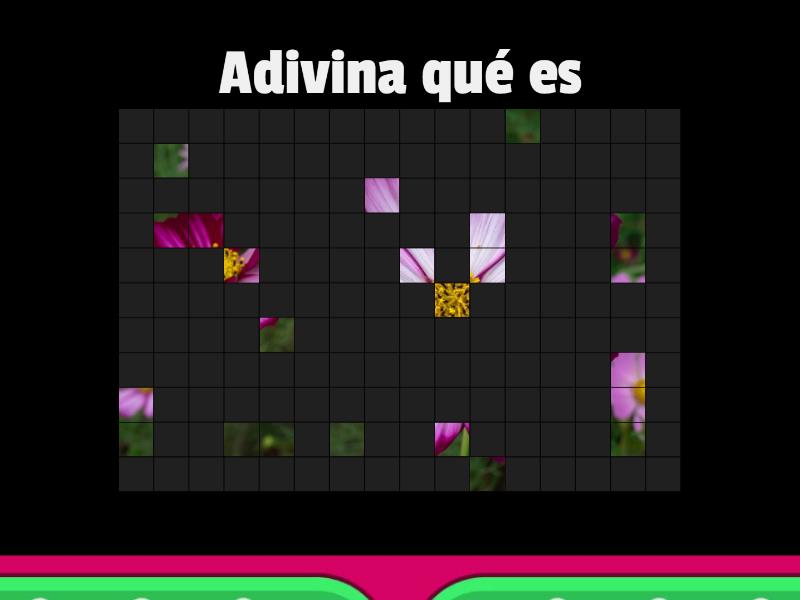 Adivina la imagen: la primavera - Image quiz