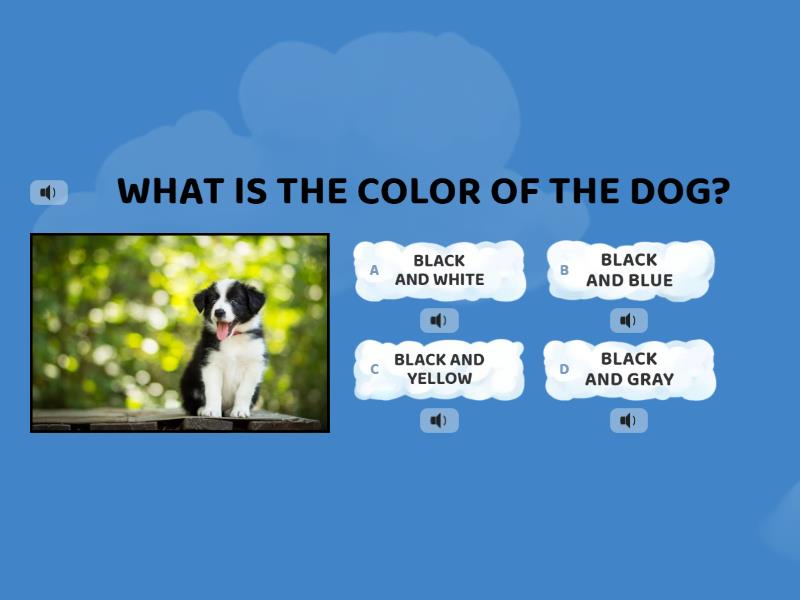 WHAT IS THE COLOR? - Quiz