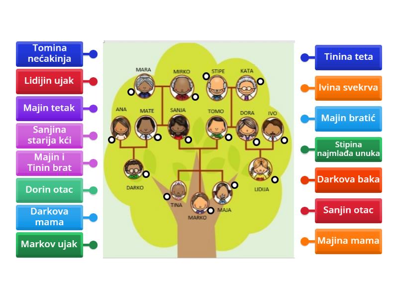 1;1 Rodoslovno stablo - Diagrama con etiquetas