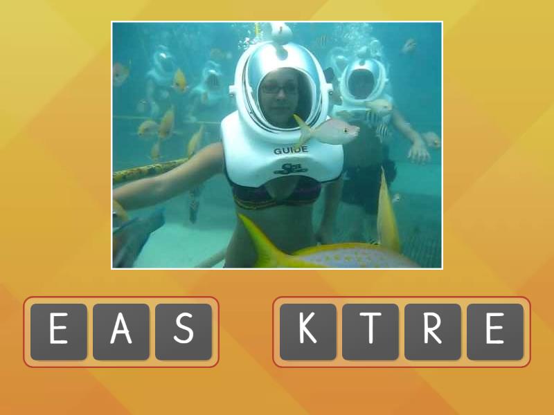 Hobbies () - Anagram