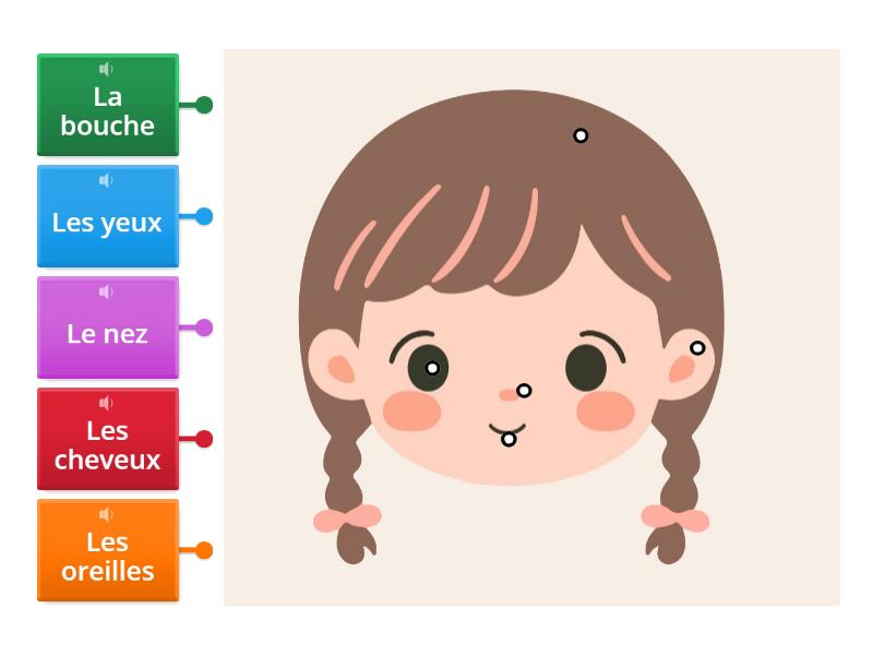 Le visage - Labelled diagram