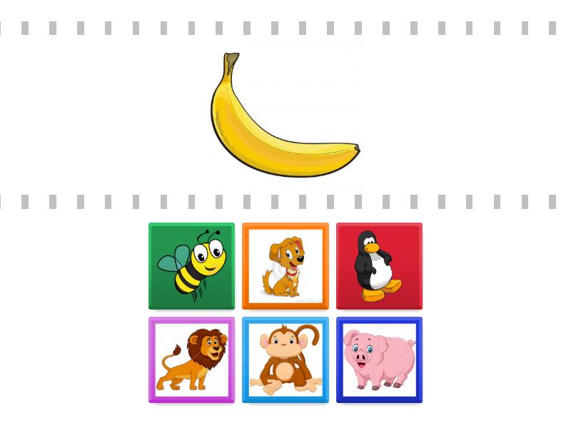 ¿QUÉ COMEN LOS ANIMALES? - Find the match