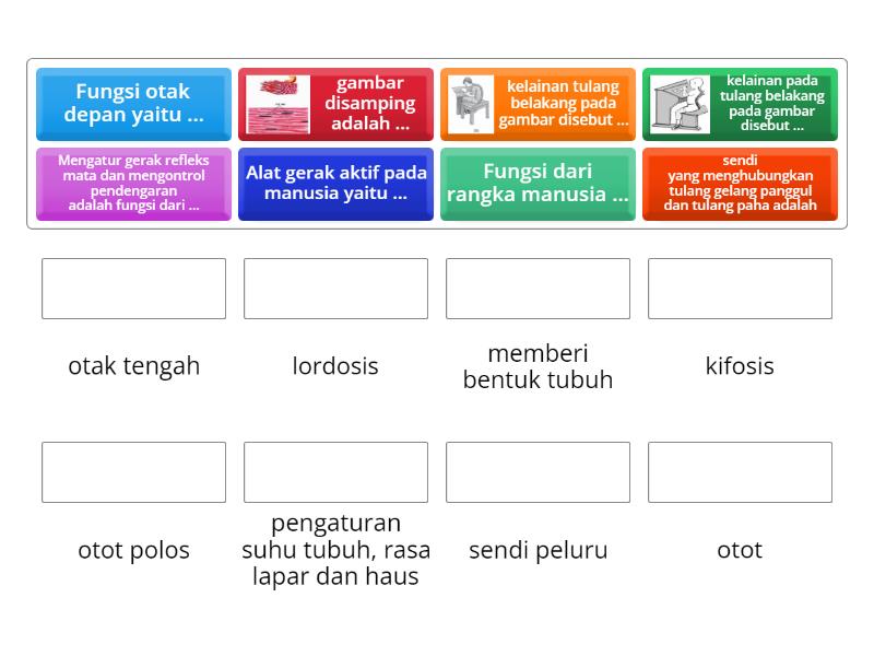 Latihan Bab 1 IPAS - Match up