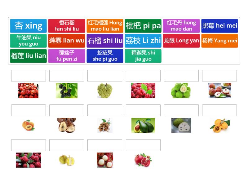 Y4_Fruits Extra - Match up