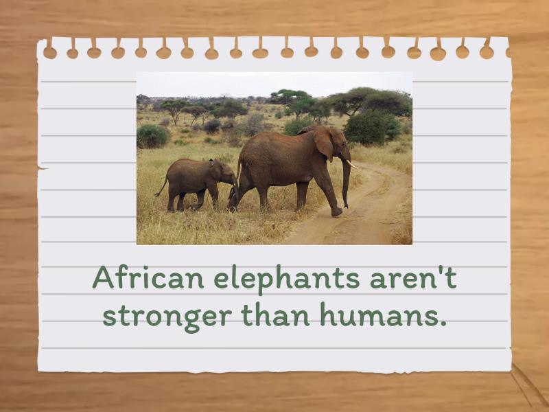 Animals. Comparative adjectives. - Flash cards