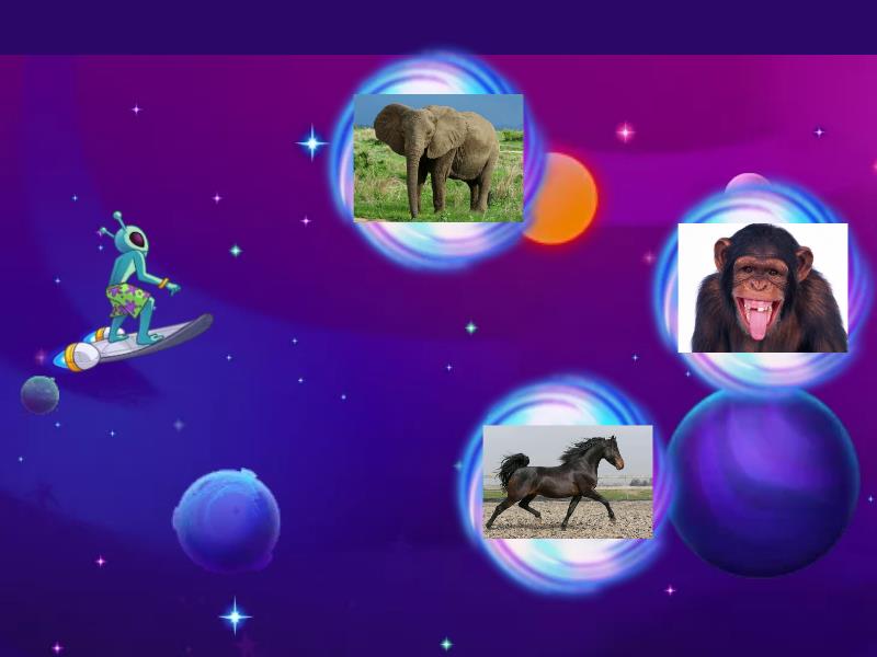 Farm and Zoo Animals - Airplane